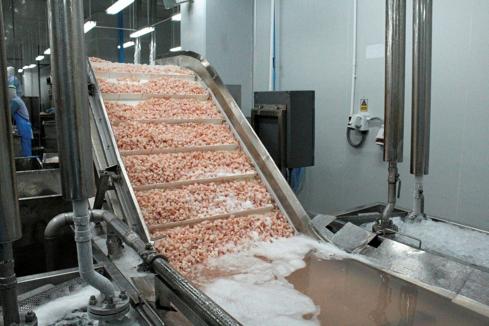 Inside Thai Union's shrimp processing plant | IntraFish.com