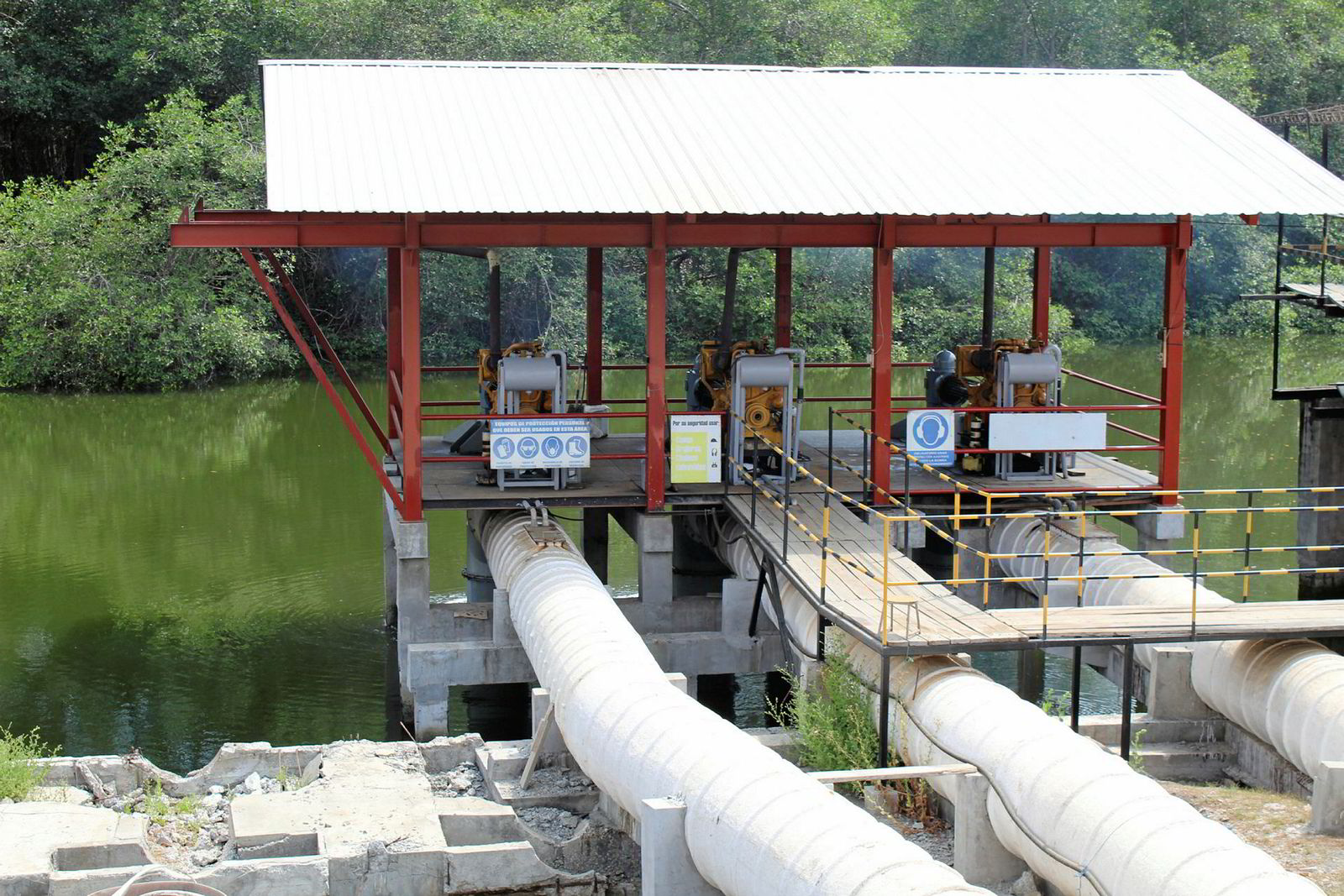 Farm Focus: Meet the world’s first organic shrimp farm | IntraFish.com