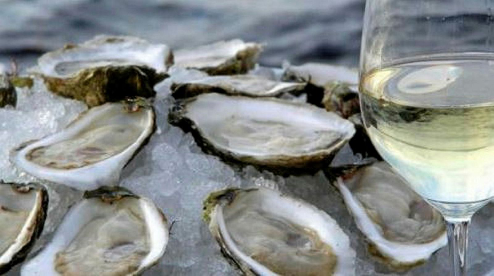 US oyster fishery enters Marine Stewardship Council assessment ...