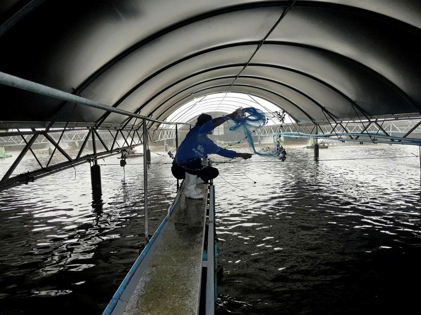 CP Foods invests in massive land-based shrimp facility | IntraFish.com CP Foods invests in massive land-based shrimp facility | IntraFish.com