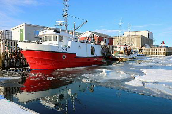 Verdens beste restaurant vil ha rå Lyngen-reker | Fiskeribladet