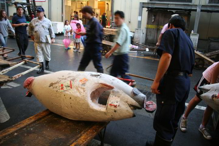 Maruha Nichiro: Japan’s fishing industry needs recovery fund ...
