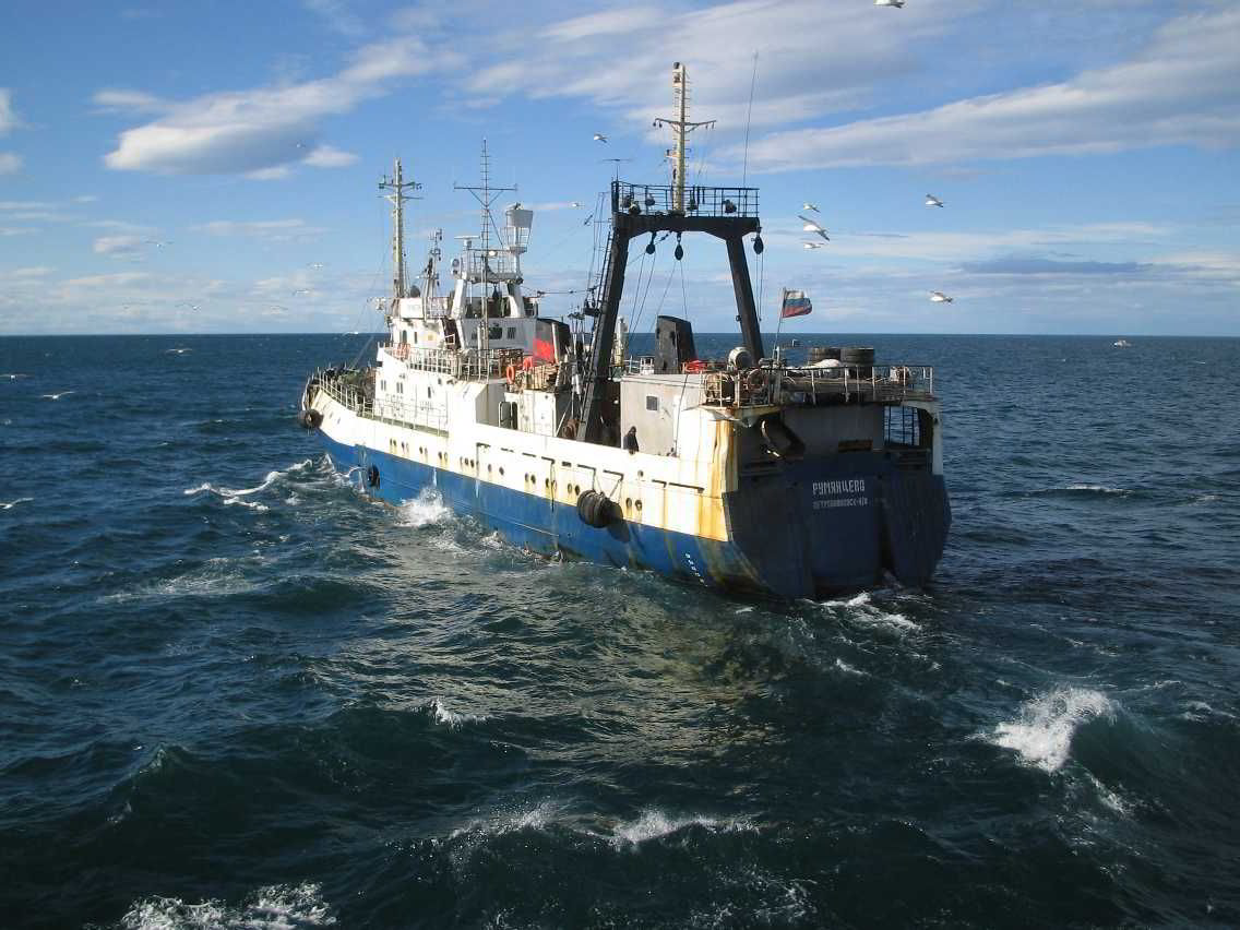 Photo gallery: Russian pollock's drive for MSC certification ...