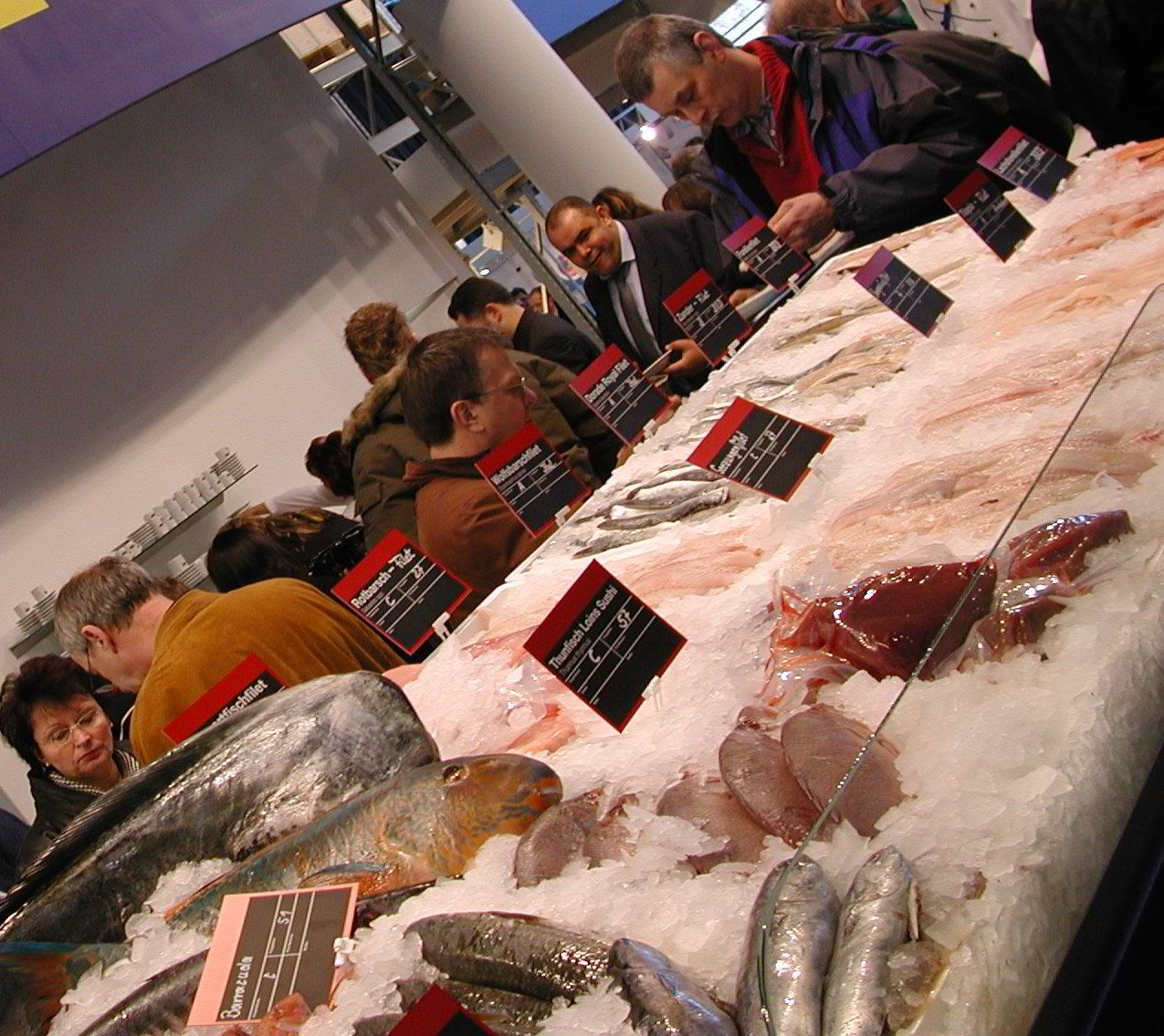 Pangasius leads rise in German seafood consumption | IntraFish.com