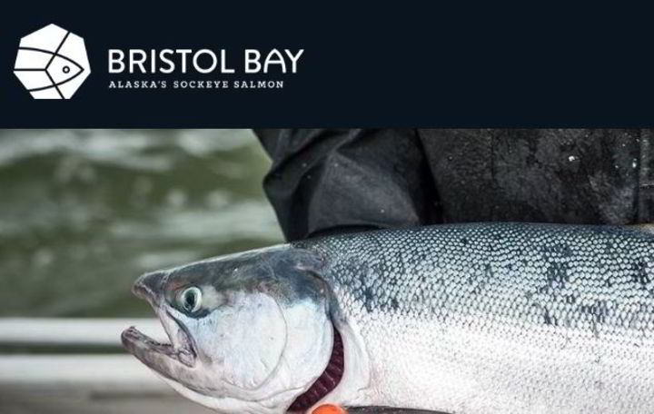 Group unveils new Bristol Bay salmon logo, eyes nationwide marketing ...