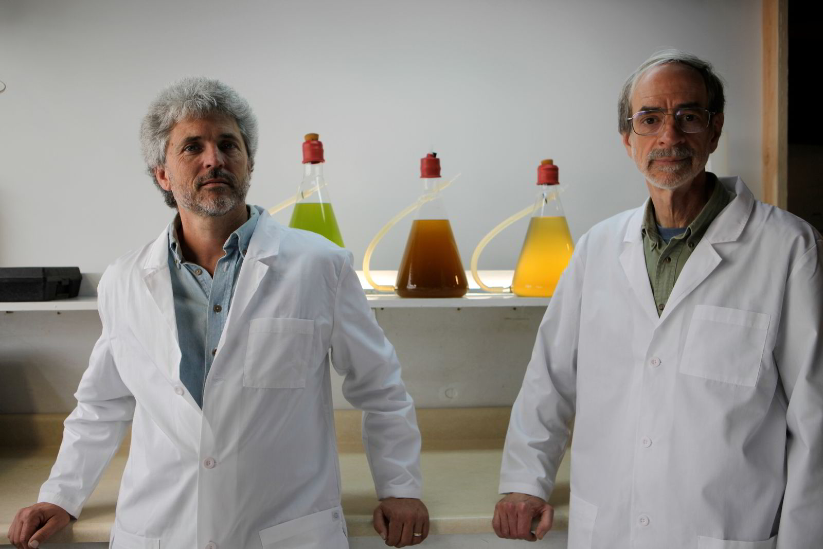 Zooplankton Week Part 4: Reed Mariculture -- The Plankton People ...