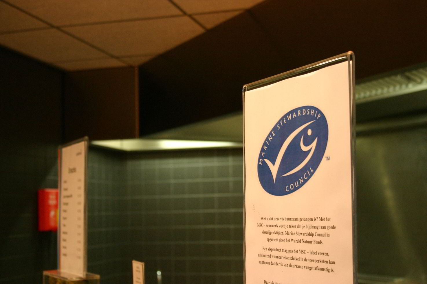 'No Catch' founder named MSC Brazil rep | IntraFish.com