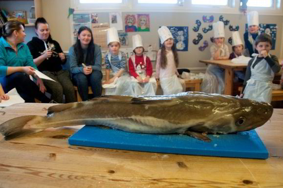 Lærer barna å bli kjent med fisken | Fiskeribladet