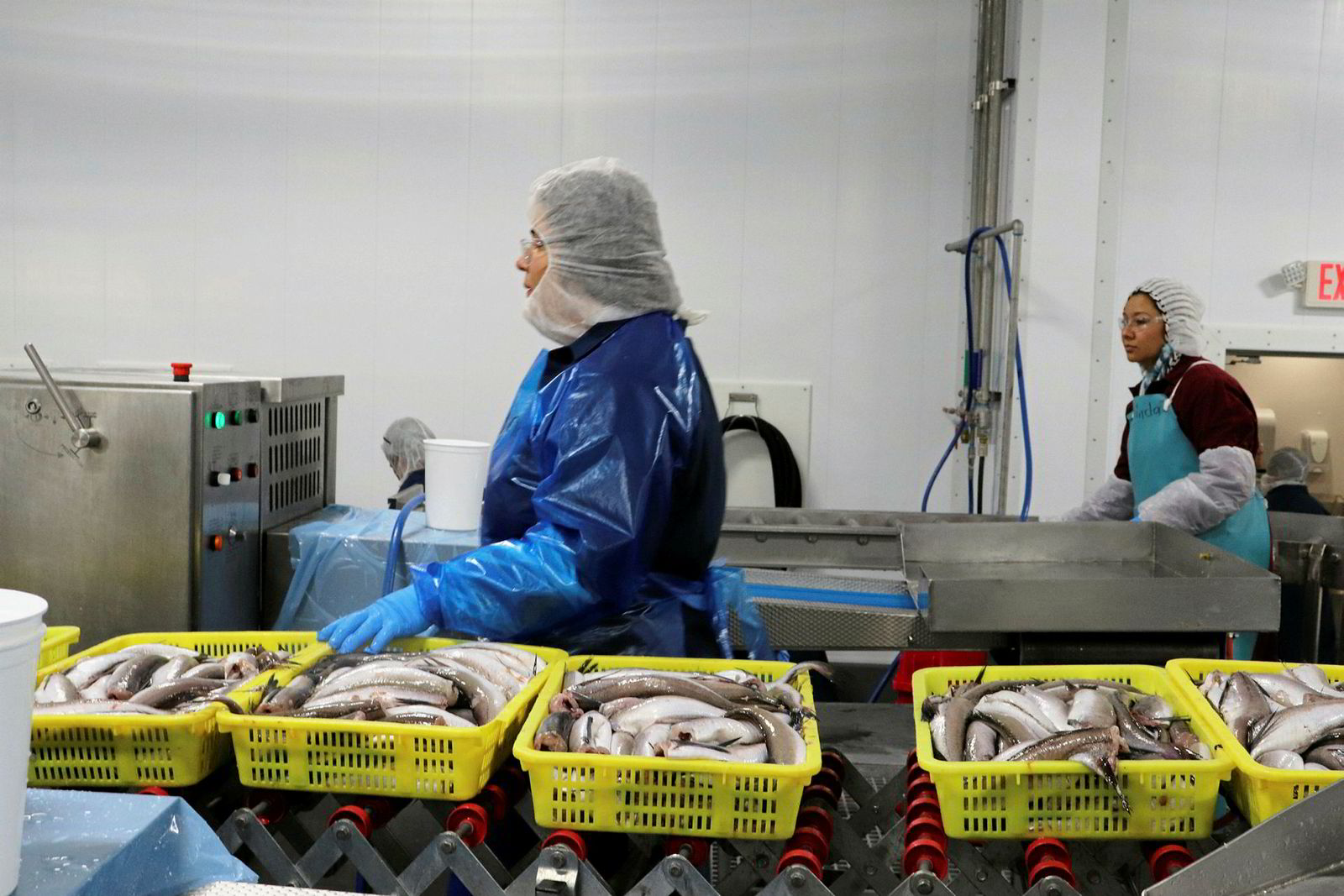 Photo gallery: Take a tour of Pacific Seafood's newest processing ...