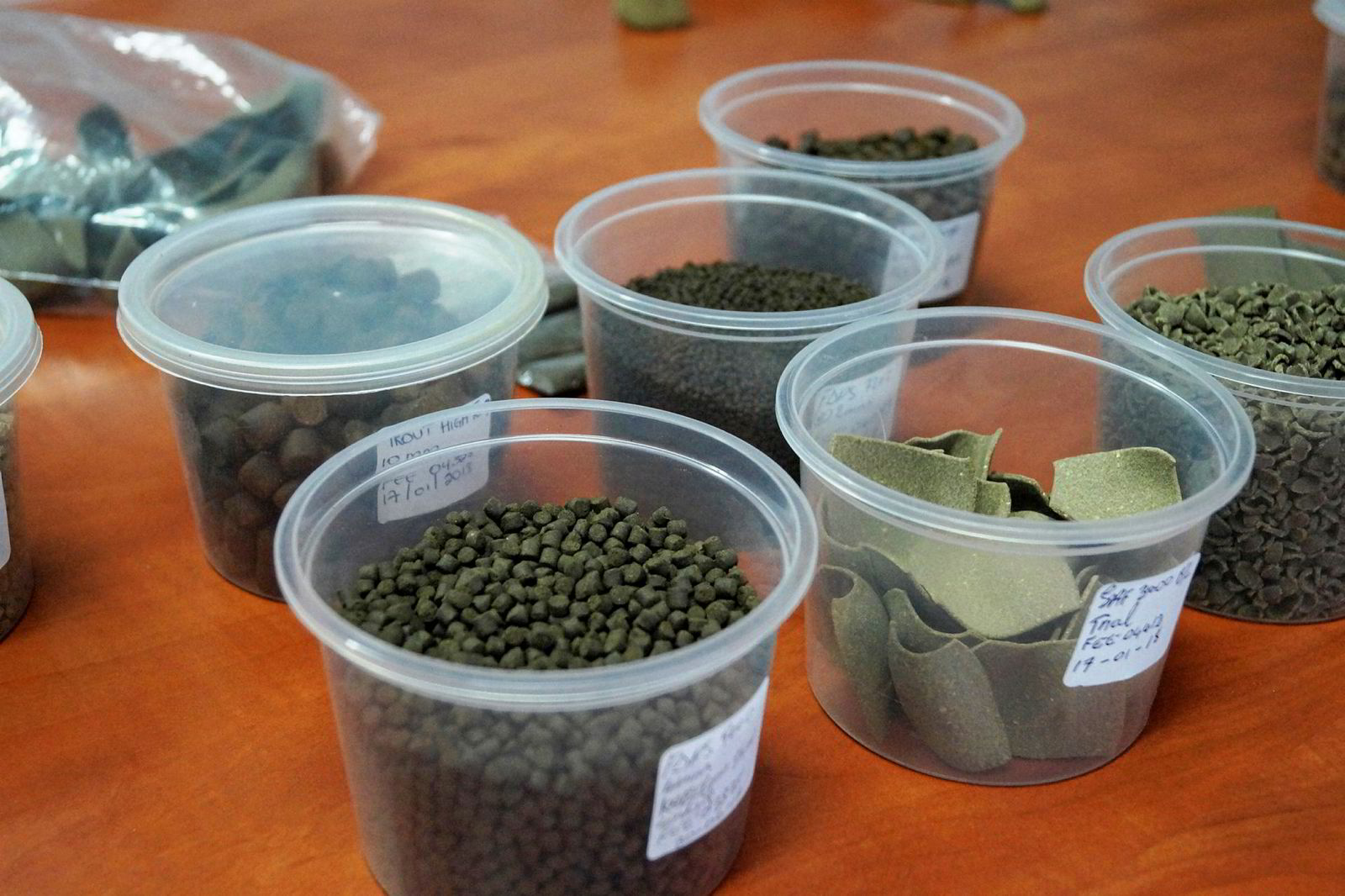 Farm Focus: Inside one of South Africa's biggest abalone operations ...