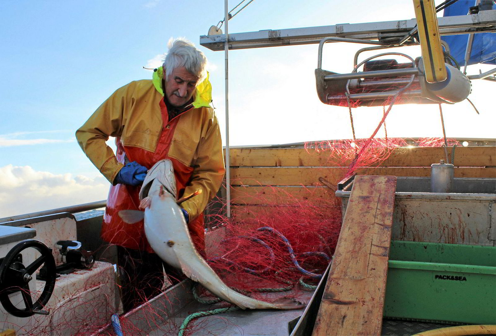 Kurt Harald (73) reiser 700 nautiske mil for å fiske skrei på Røst ...