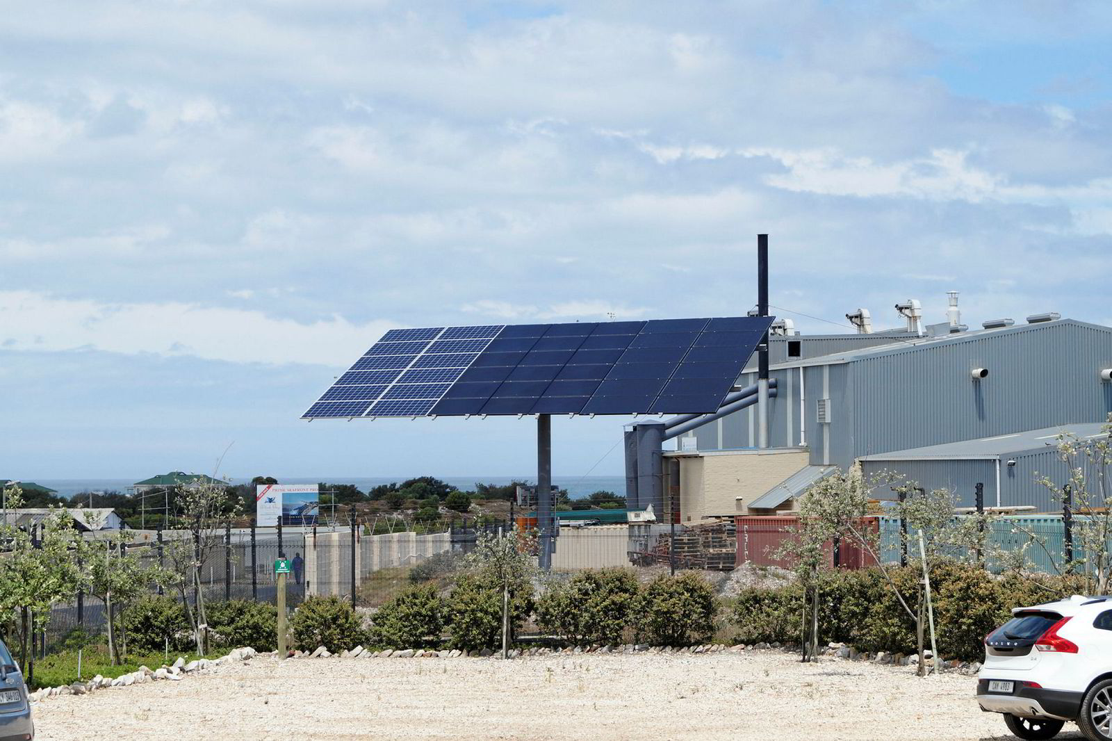 Farm Focus: Inside one of South Africa's biggest abalone operations ...