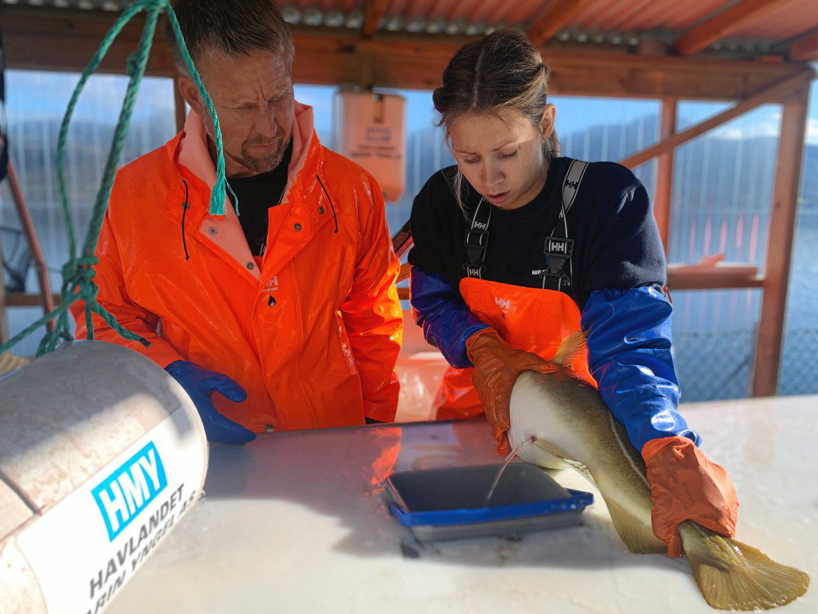 For ti år siden raste alt sammen rundt dem. Nå vil Havlandet Marin Yngel investere 1 milliard i ...