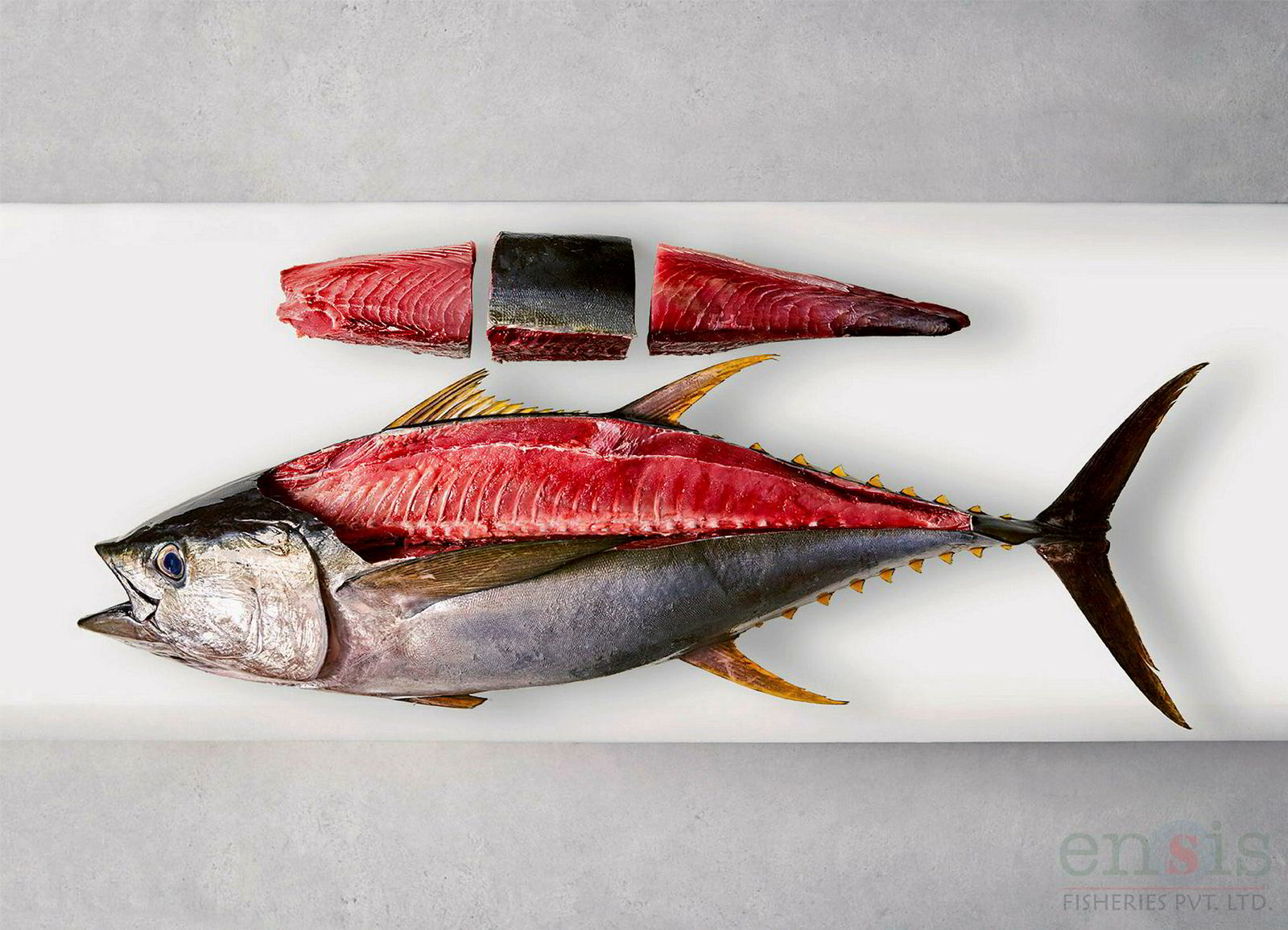 Ensis Fisheries: Bringing Maldives tuna to the world | IntraFish.com
