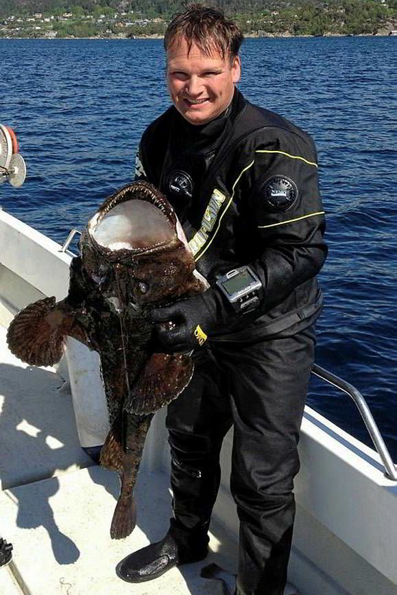 Proffe kystfiskere blir tapere på leppefisk | Fiskeribladet