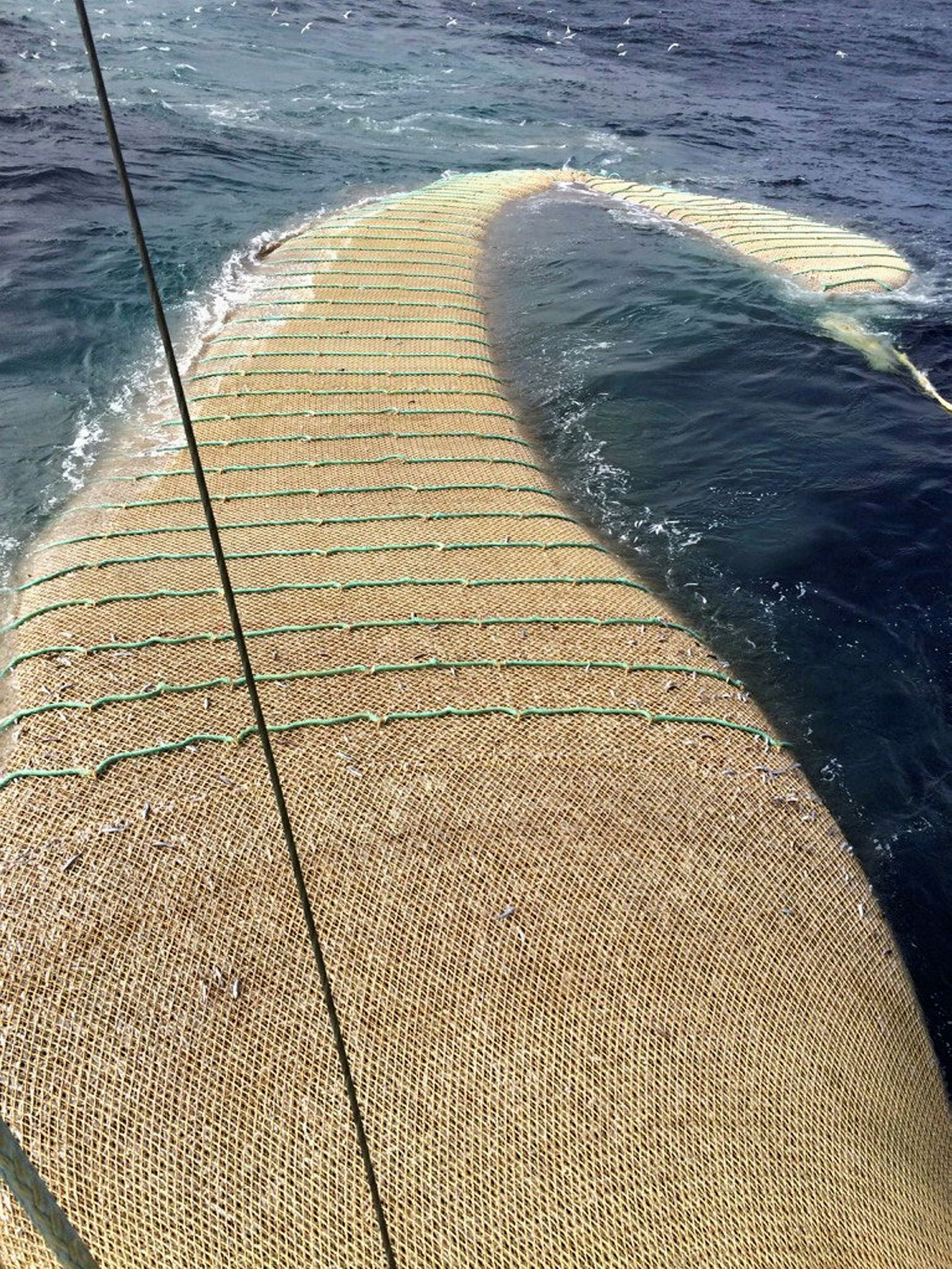 «Fiskeskjer» fisket kolmule for 6,1 millioner kroner på siste tur ...