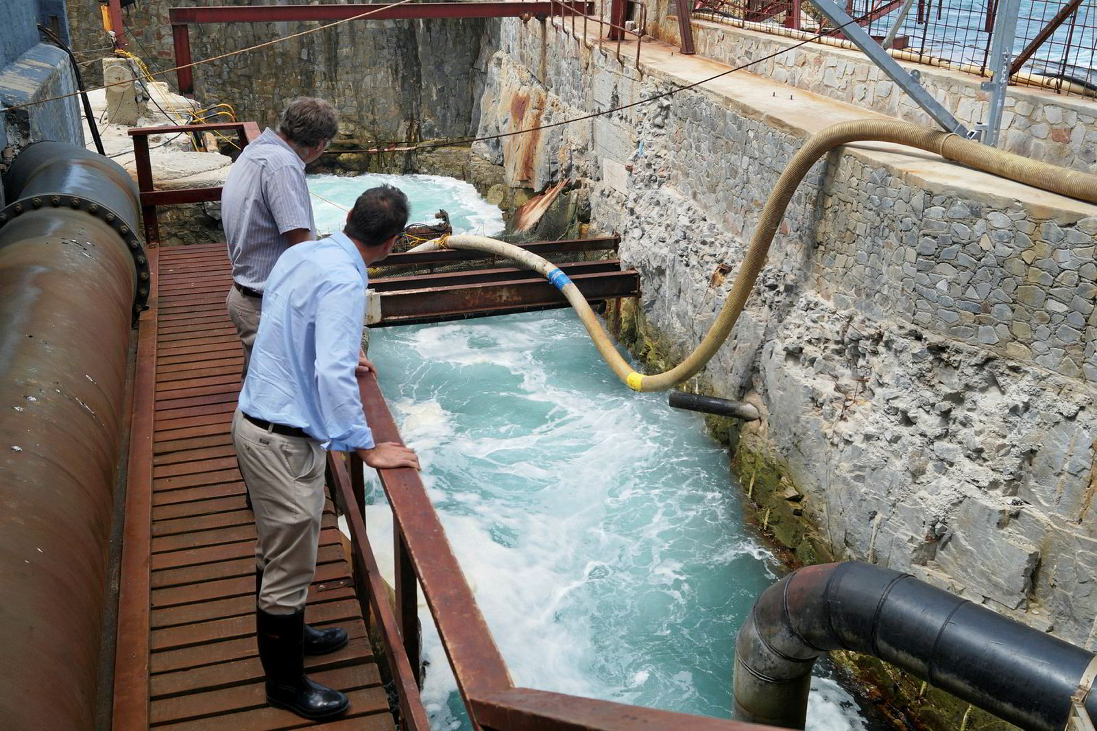 Farm Focus: Inside one of South Africa's biggest abalone operations ...