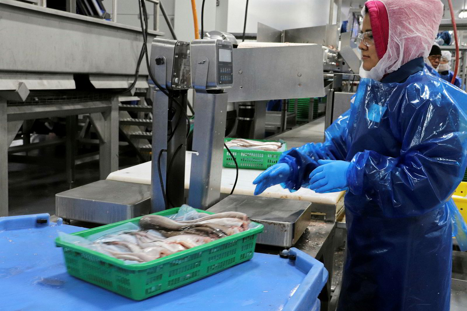 Photo gallery: Take a tour of Pacific Seafood's newest processing ...
