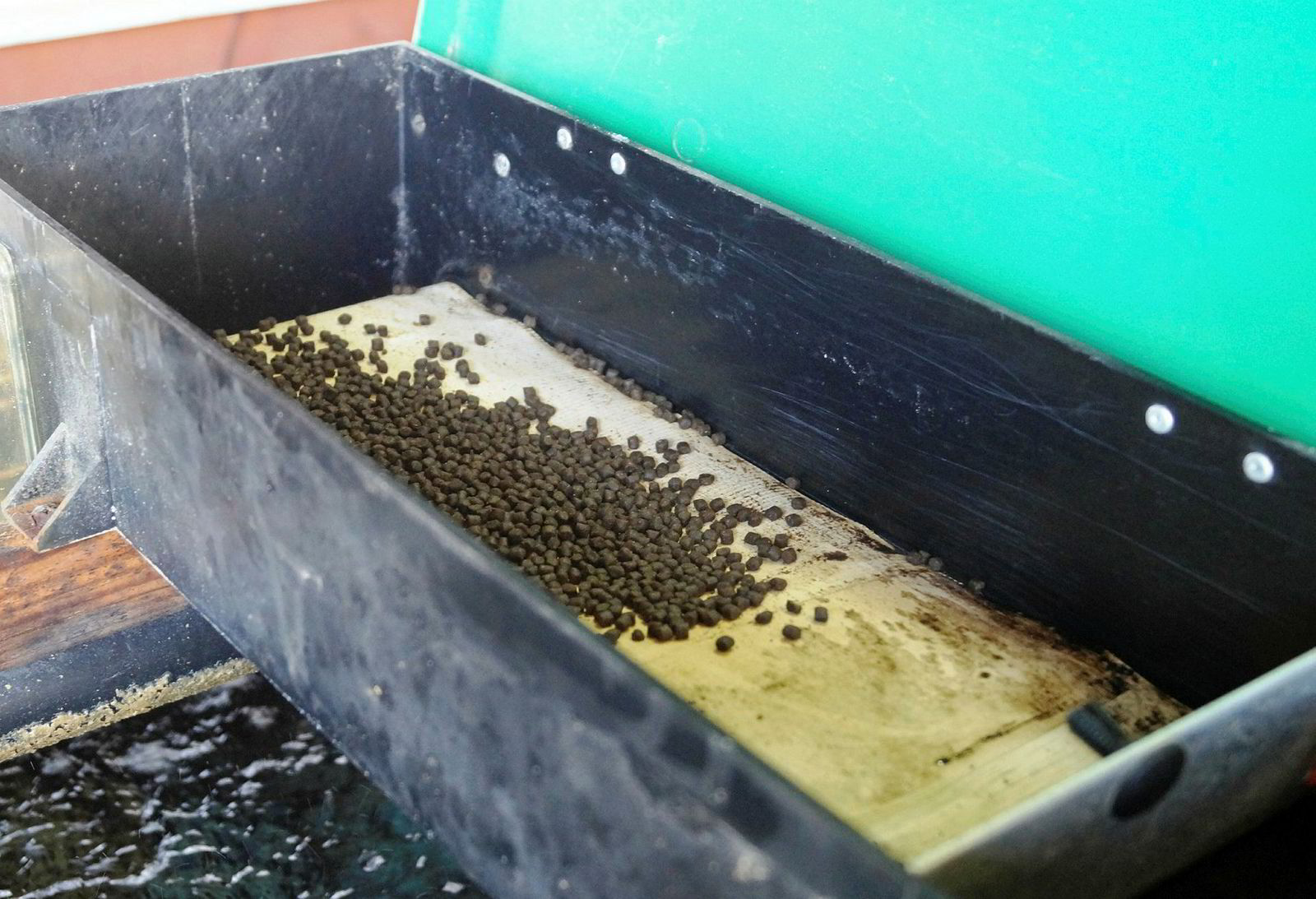 In pictures: Take a tour of Raanan Fish Feed's operation in Israel ...