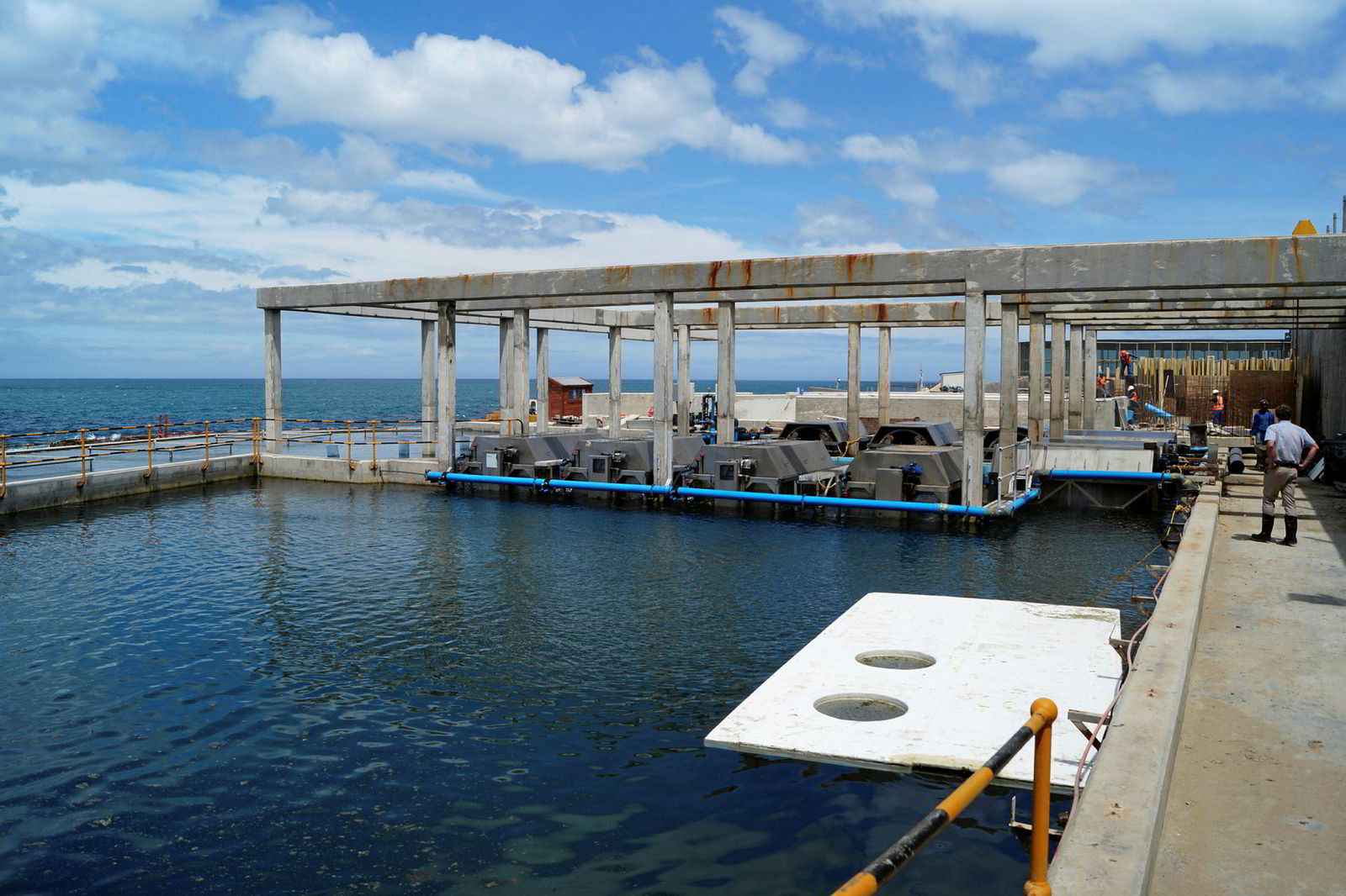 Farm Focus: Inside one of South Africa's biggest abalone operations ...