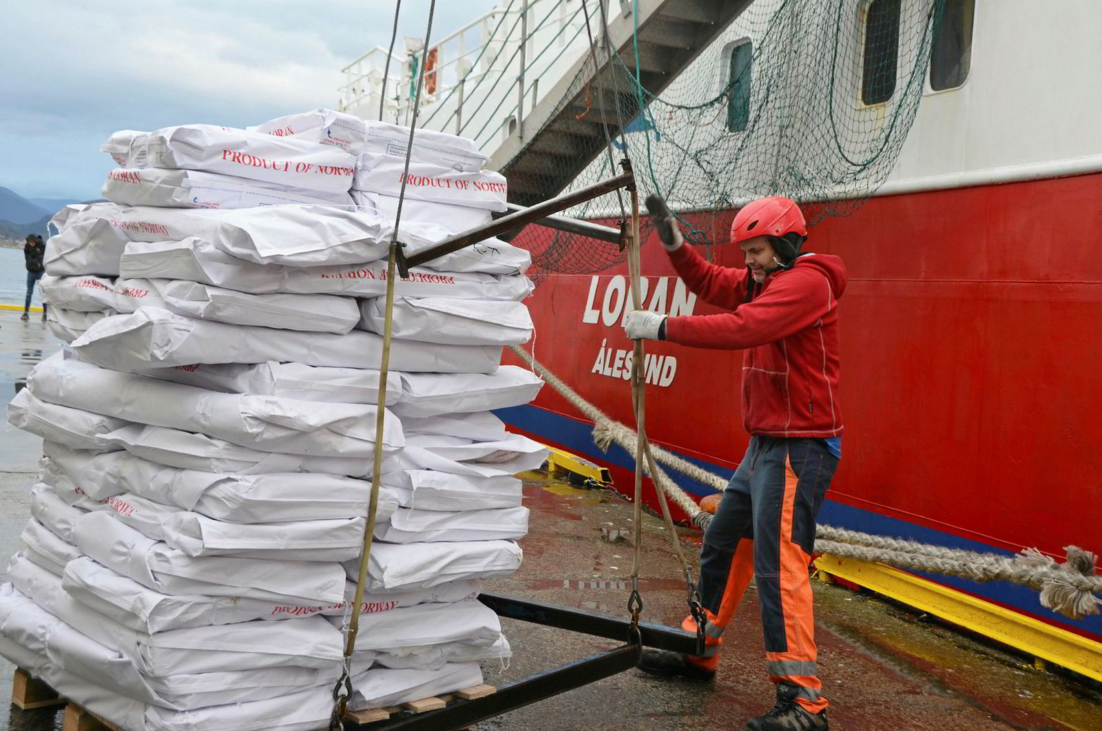 Torsken ved Jan Mayen både gyter og beiter der utover sommeren ...