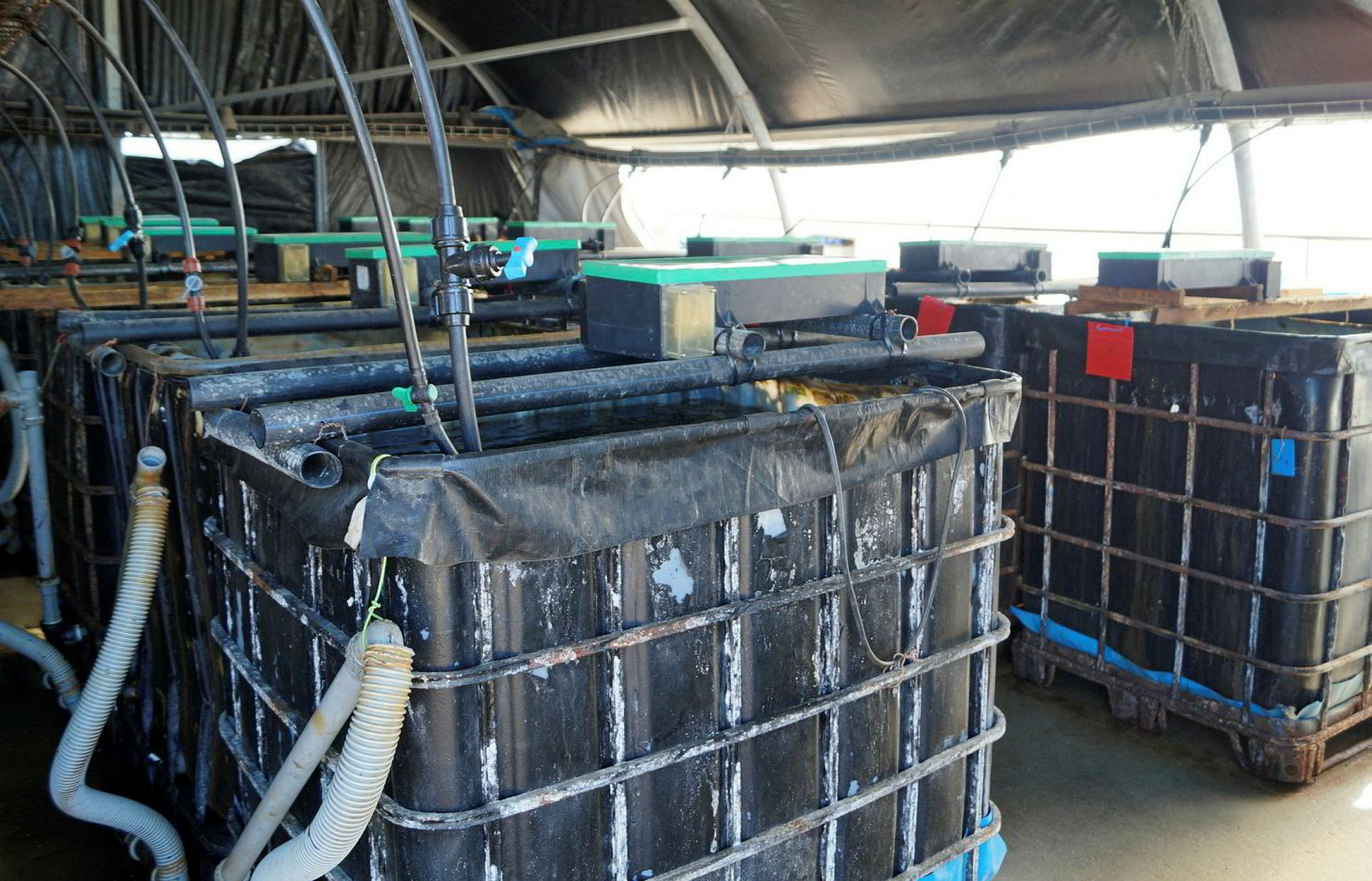 In pictures: Take a tour of Raanan Fish Feed's operation in Israel ...