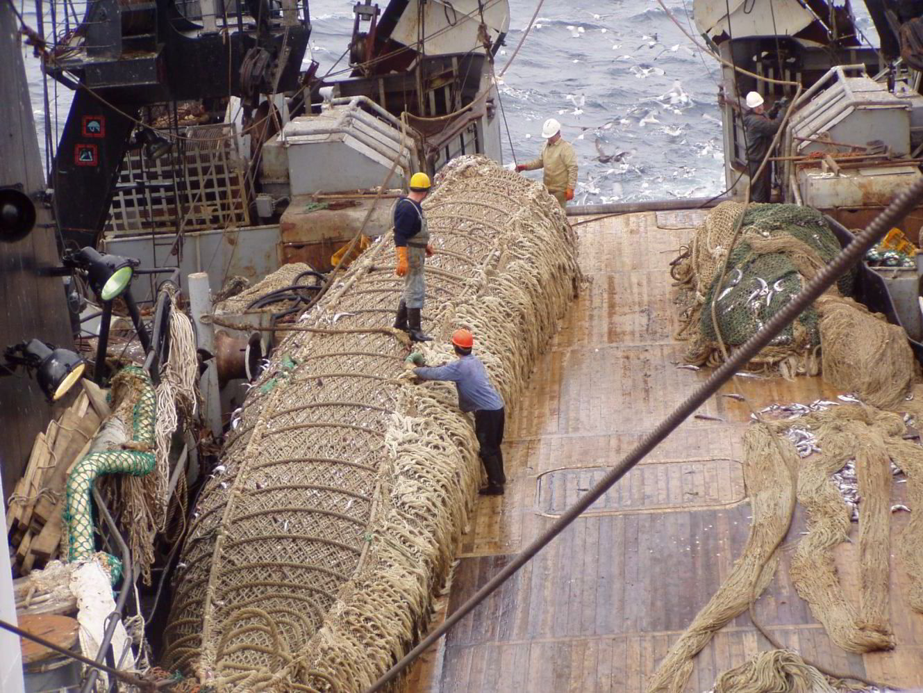 Russian pollock fleet modernizes to catch higher quota | IntraFish.com