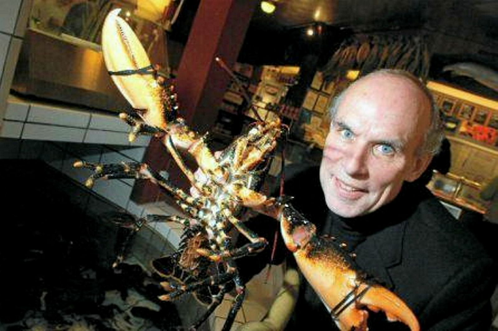 Konkurs for Norsk Hummer Drift etter store tap | Fiskeribladet