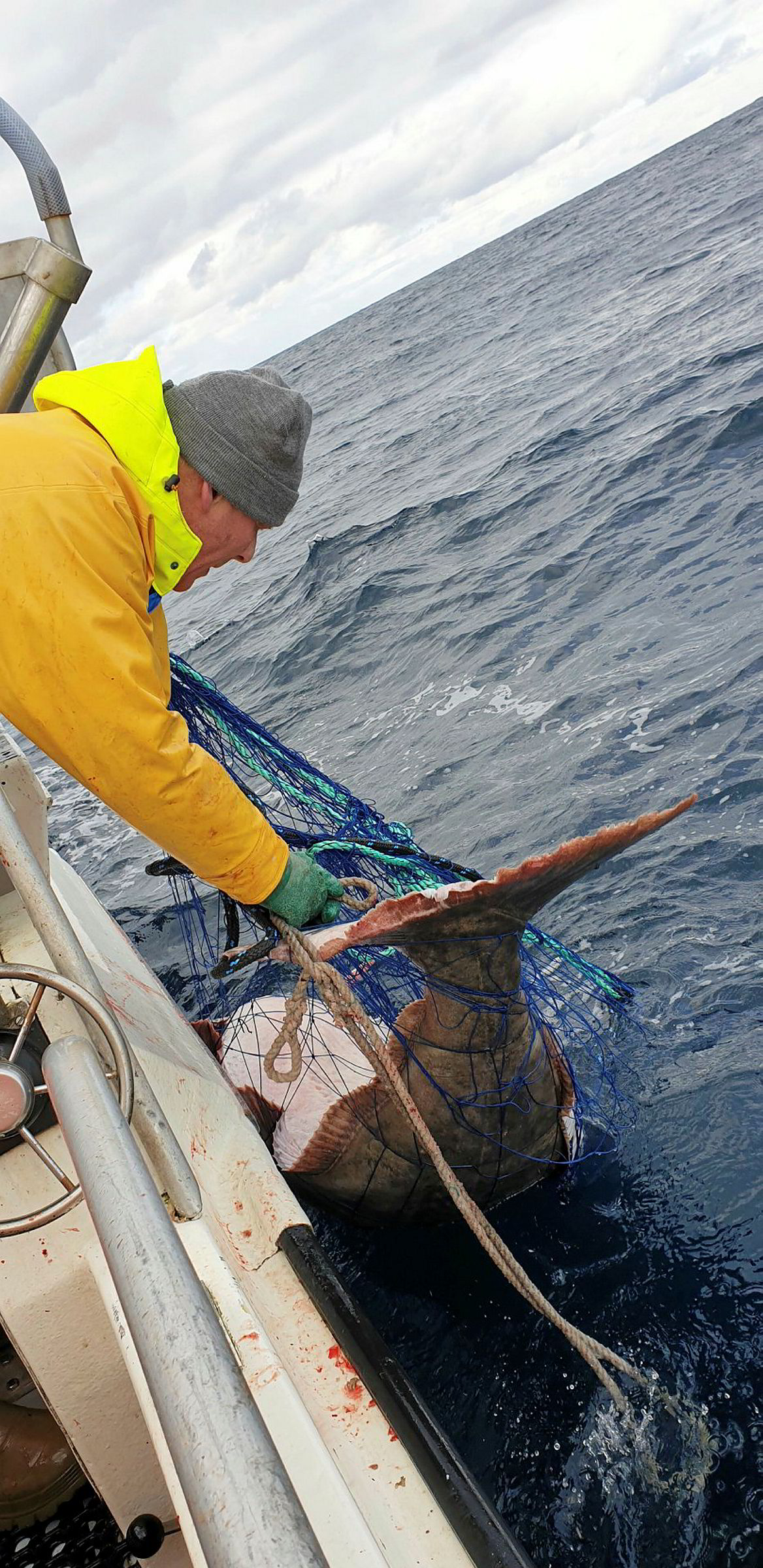 Fikk 155 kilos kveite ved Vardø – men den er verdiløs | Fiskeribladet