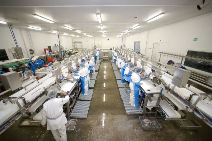 Photo gallery: Espersen invests in Marel cod lines | IntraFish.com