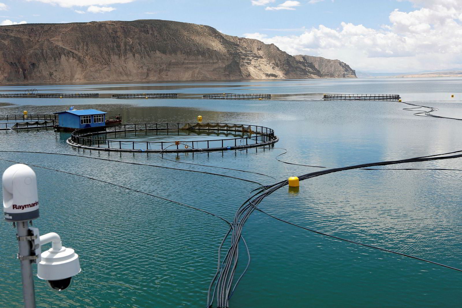 Chinese farmed trout giant's growth plans put sustainability first ...