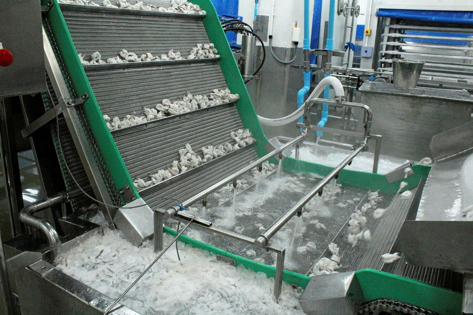 Inside Thai Union's shrimp processing plant | IntraFish.com