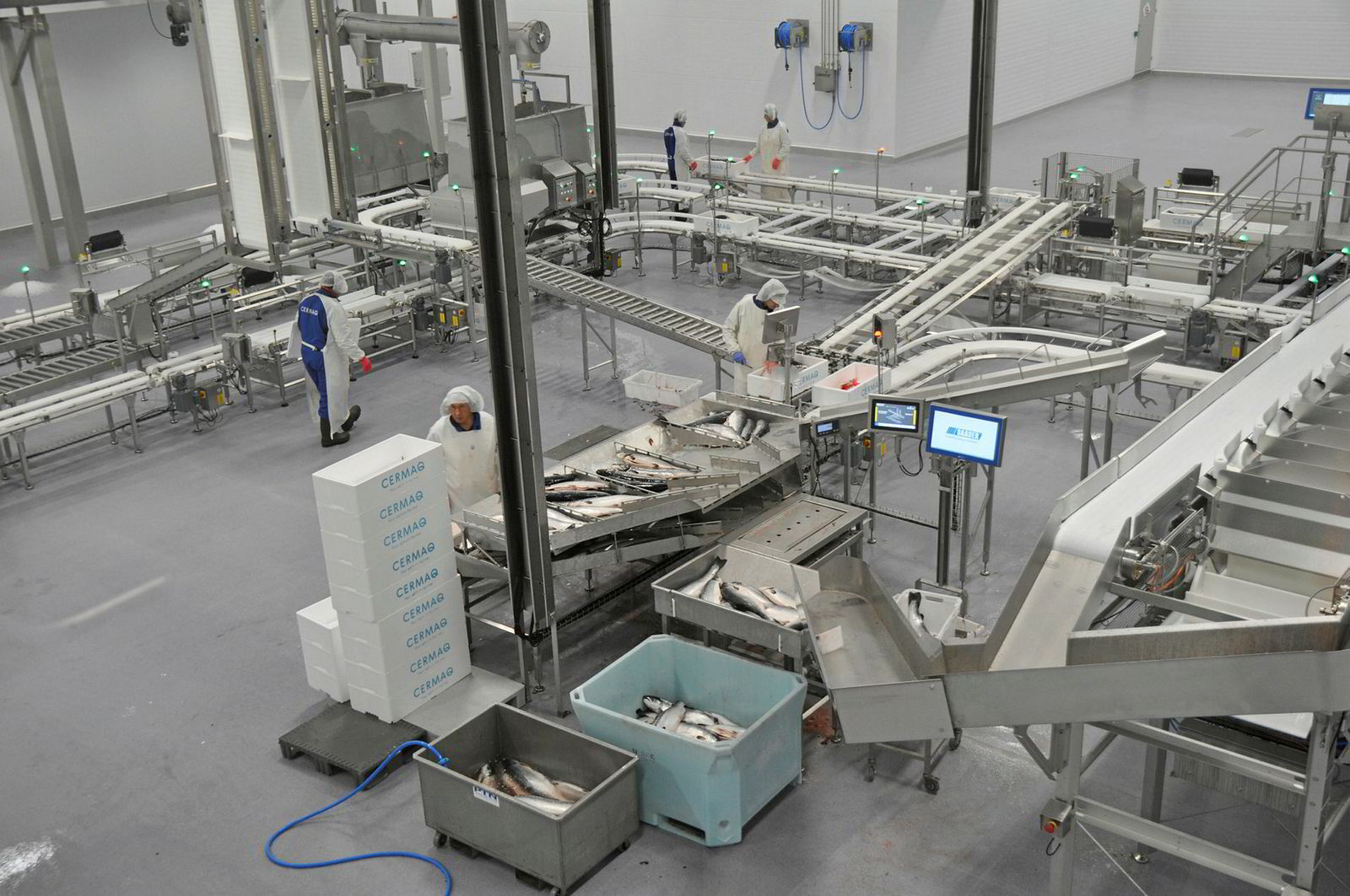 PHOTOS: A look inside Cermaq's 'most efficient' salmon processing ...