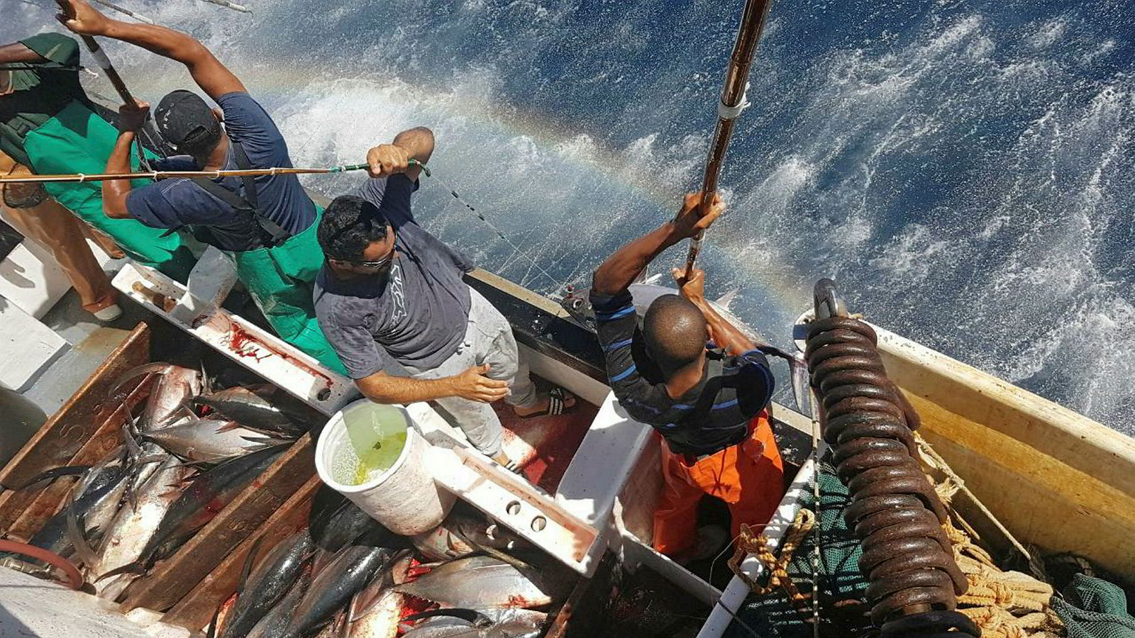 Q&A: Where next for South African pole-and-line tuna? | IntraFish.com