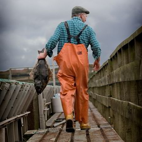 Photo gallery: Scotland's only halibut farm | IntraFish.com
