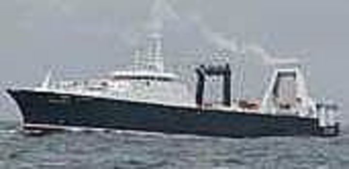 Alaska pollock fishery goes prime time | IntraFish.com