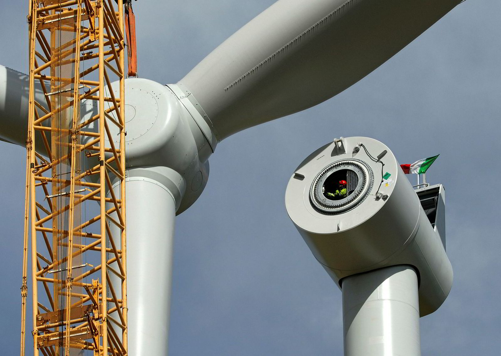 Capturing the power on Global Wind Day | Recharge