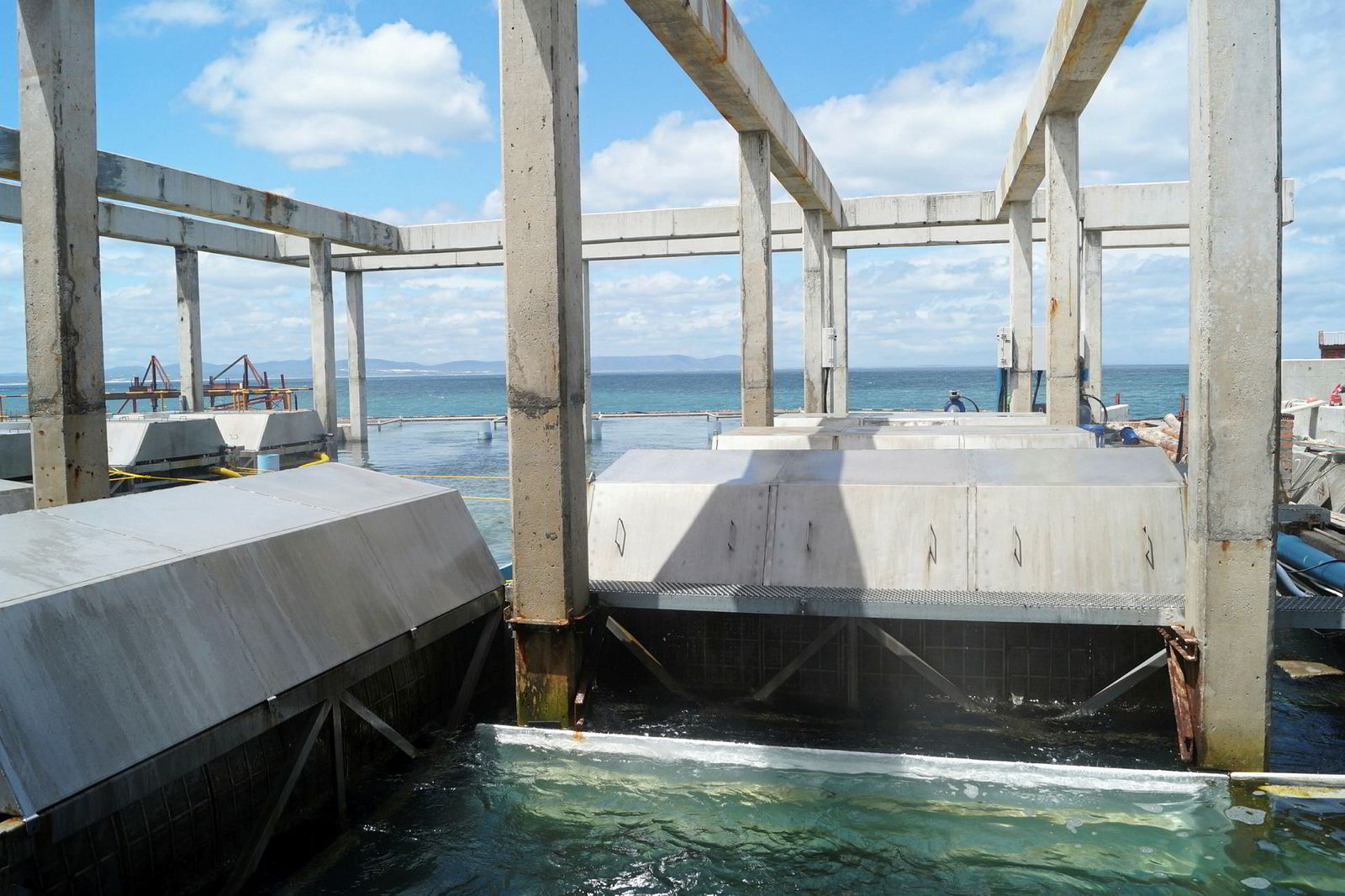 Farm Focus: Inside one of South Africa's biggest abalone operations ...