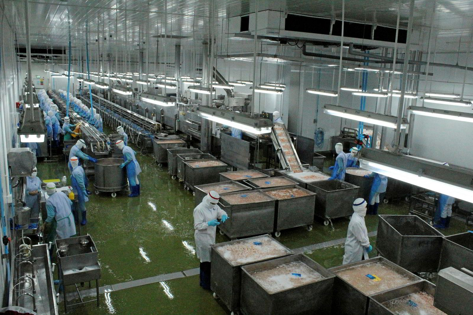 Inside Thai Union's shrimp processing plant | IntraFish.com