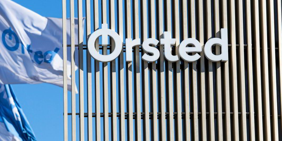 The $20m bird nests: Orsted's plan to save its biggest offshore wind ...