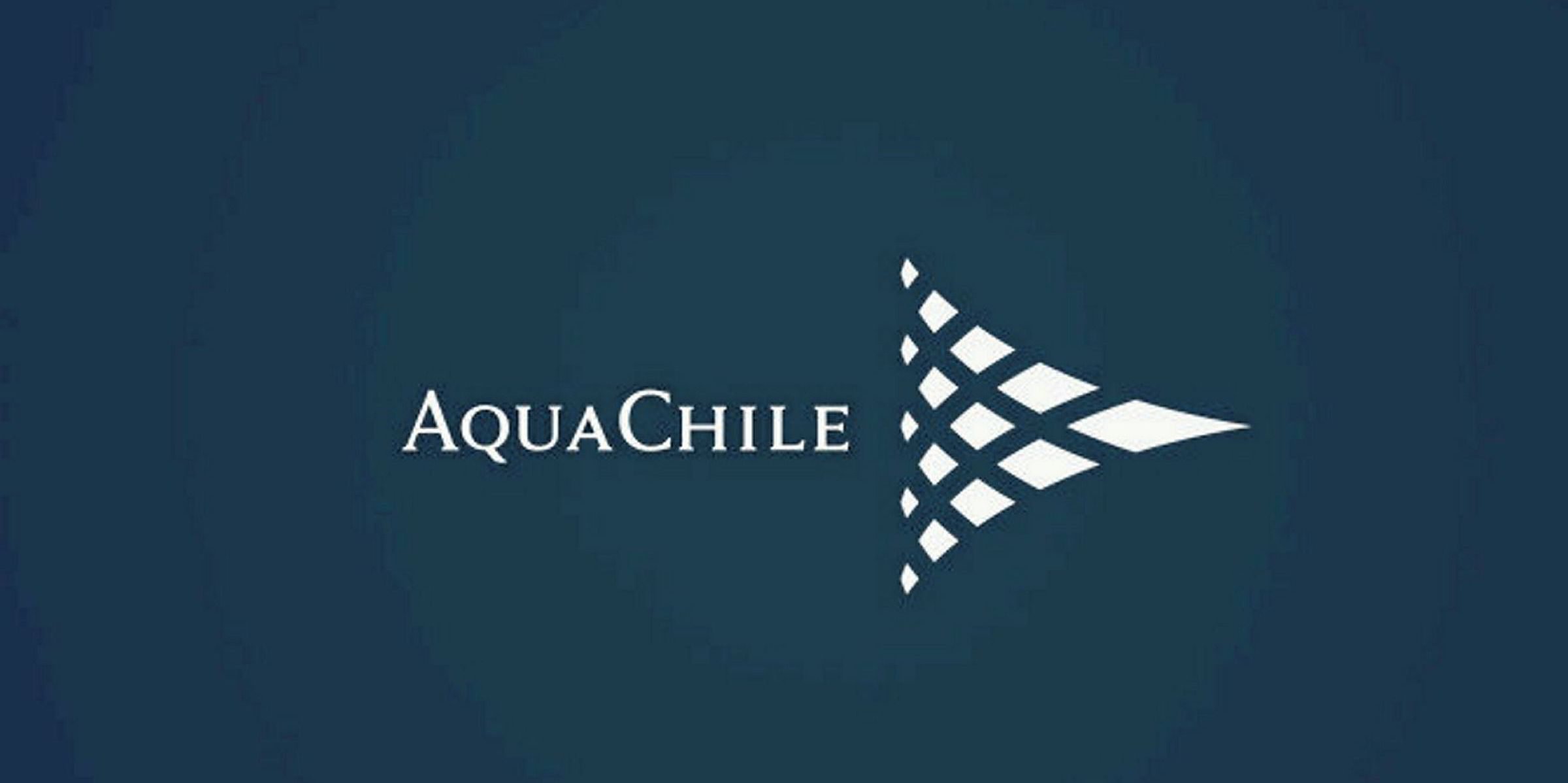 Company profile: AquaChile | Intrafish