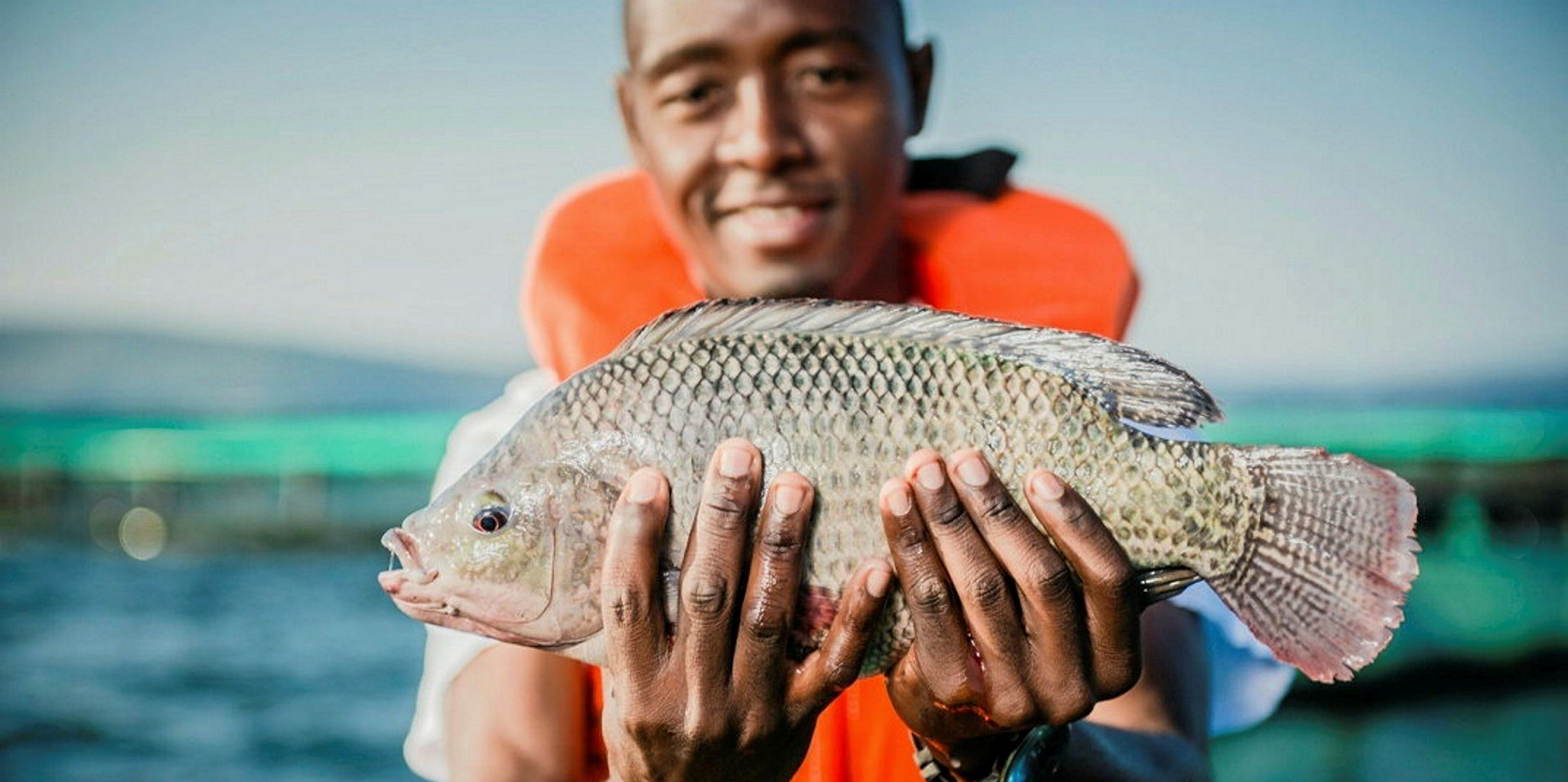 SFP launches longline tuna FIP in Indonesia | IntraFish.com