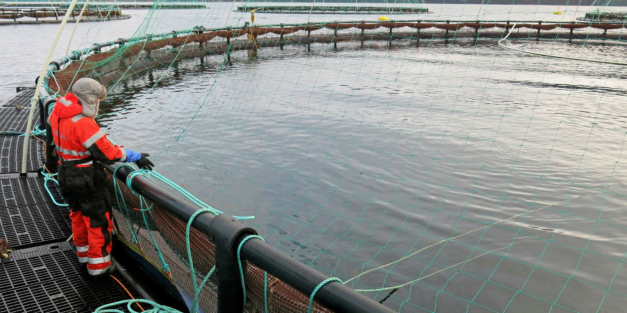 Here are the winners in Norway's $670 million salmon farming license ...