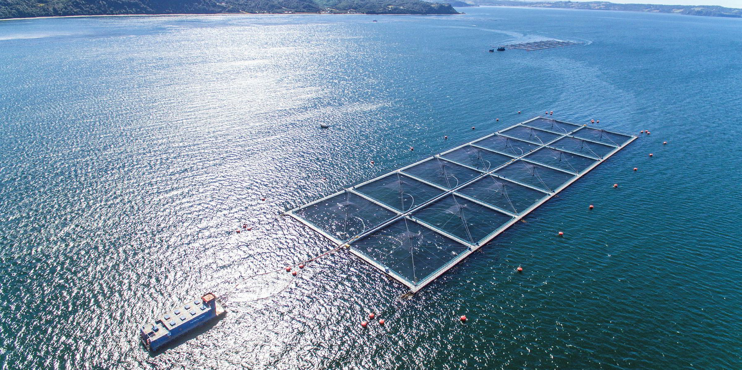 Salmones Camanchaca harvests fall back to 2018 levels | IntraFish.com