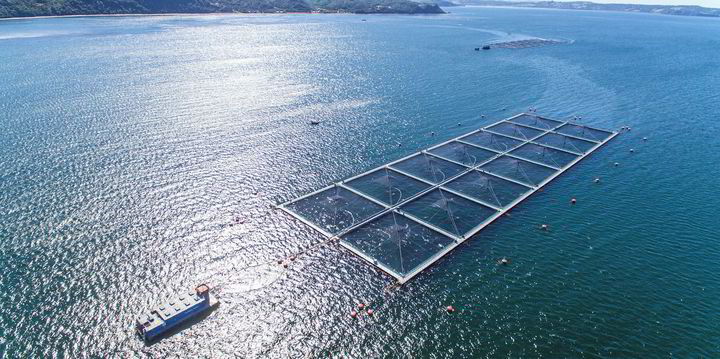 Salmones Camanchaca harvests fall back to 2018 levels | IntraFish.com