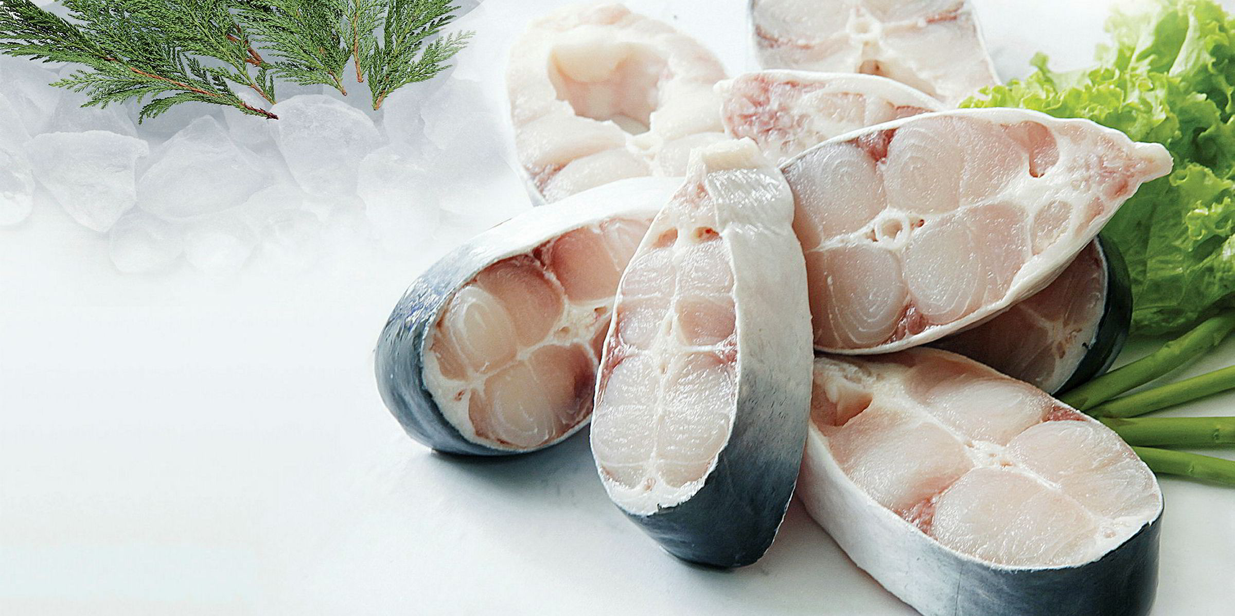 Indonesia pushes into pangasius exports | IntraFish.com