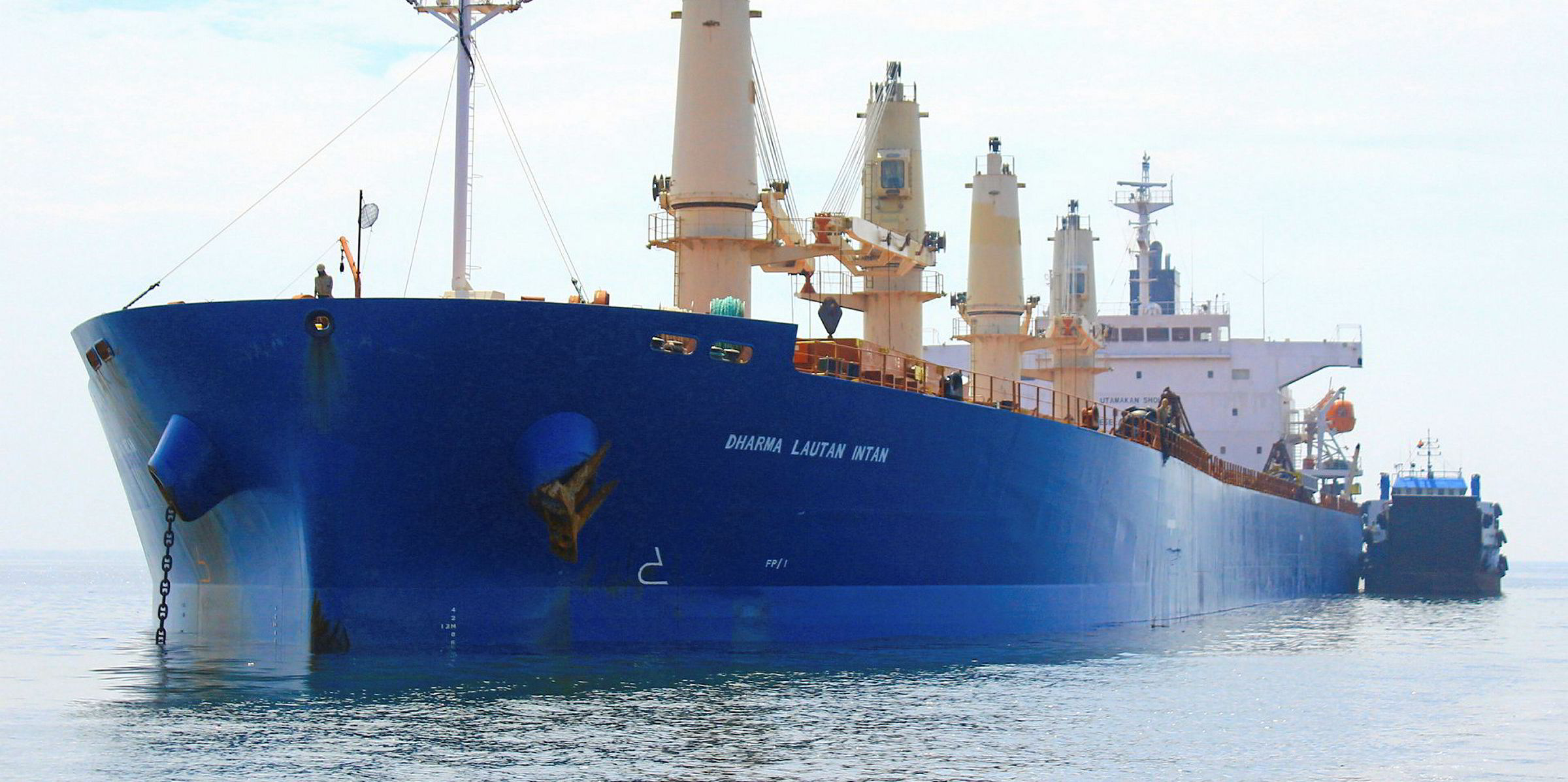 Armator Shipping launches as new d'Amato-backed bulker operator ...