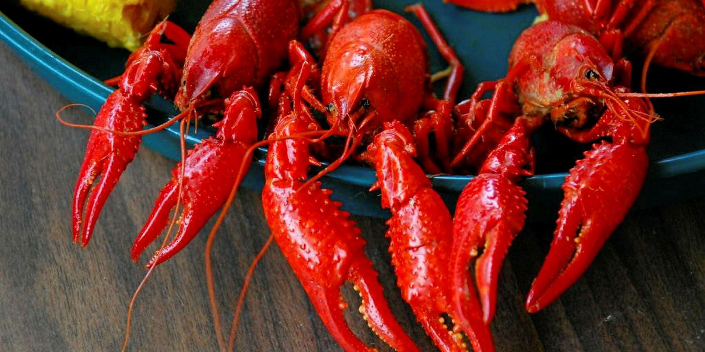 100 workers at Louisiana crawfish farms test positive for Covid-19 ...