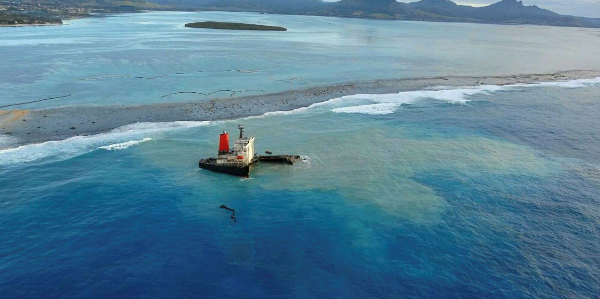 Mauritius: no evidence that Wakashio spill is killing whales | TradeWinds