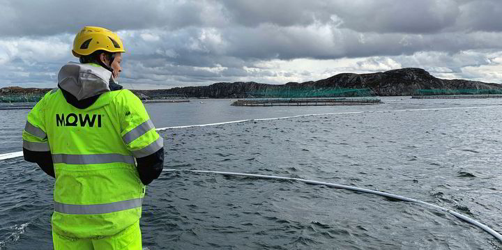 Salmon farming giant Mowi reports escape in Northern Norway | IntraFish.com